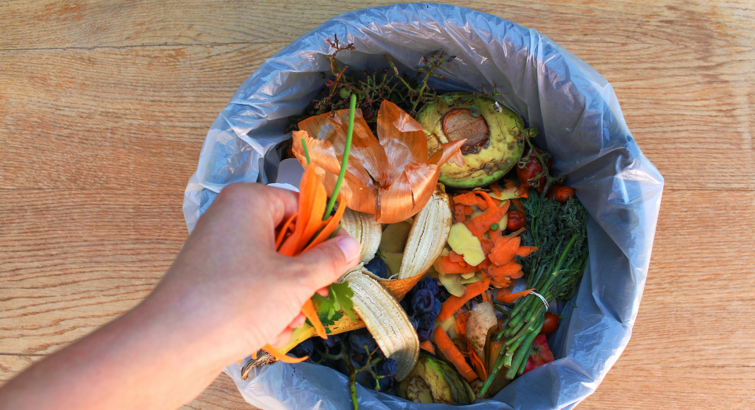 Reducing Food Waste | Tips and Tricks for Storing and Using Food